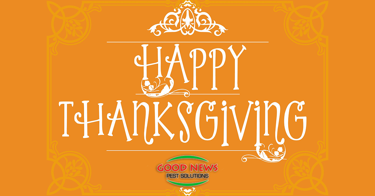 Happy Thanksgiving! - Pest Control in Venice, FL | Good News Pest Solutions