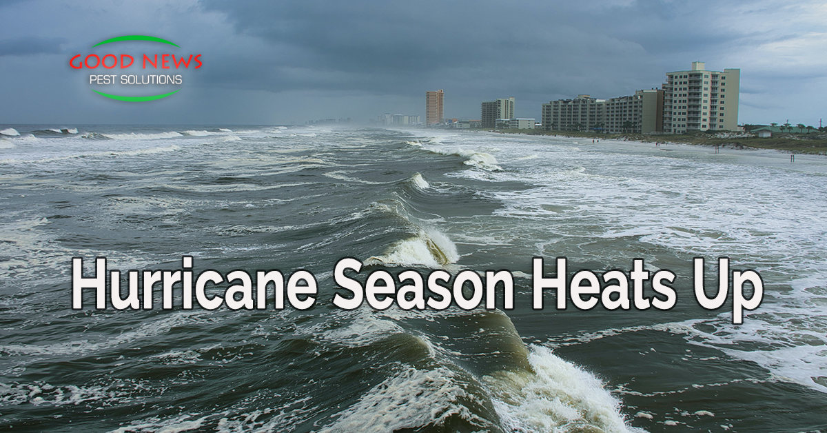Hurricane Season Heats Up - Pest Control in Venice, FL | Good News Pest ...