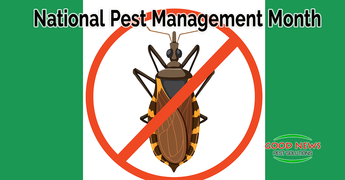 National Pest Management Month - Pest Control in Venice, FL | Good News ...
